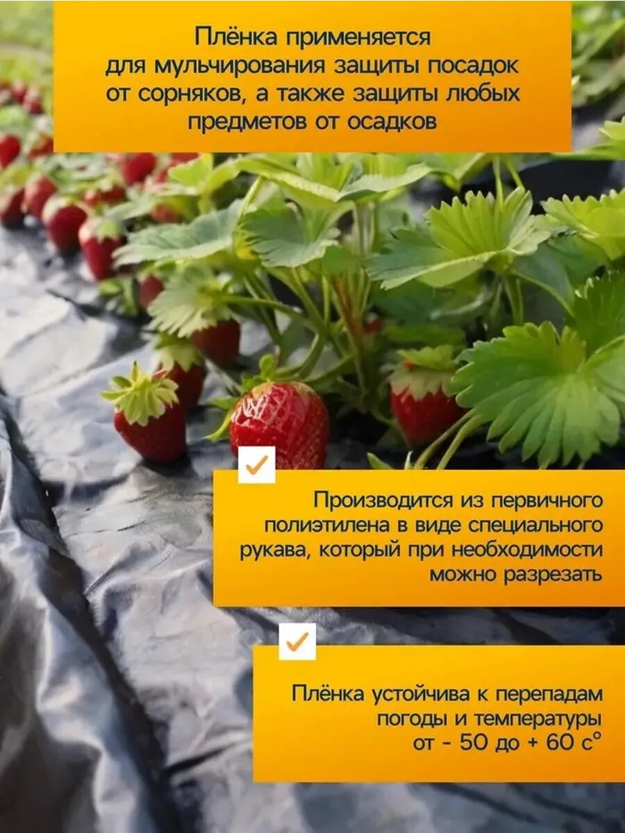 Укрывная защитная плёнка 200 мкм 10х3 м