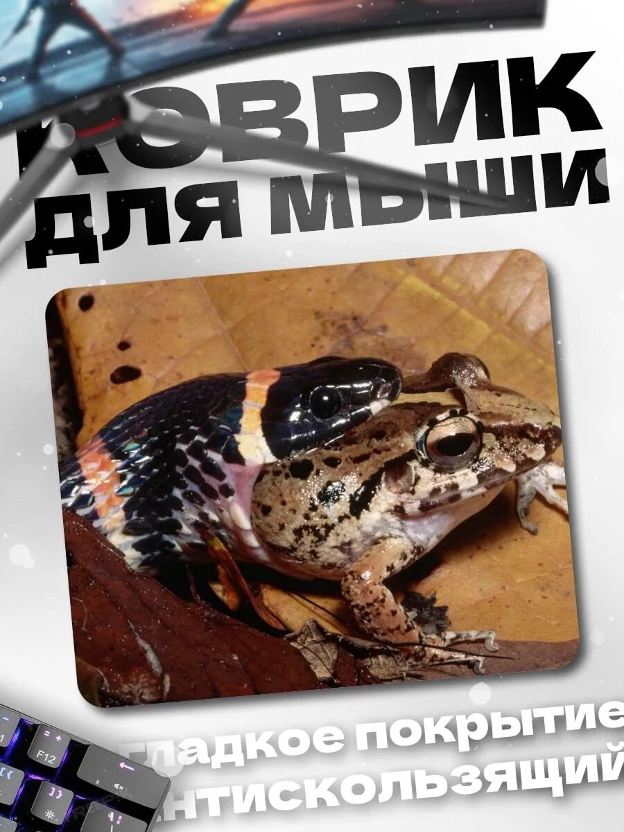Коврик для мыши Змея ест лягушку