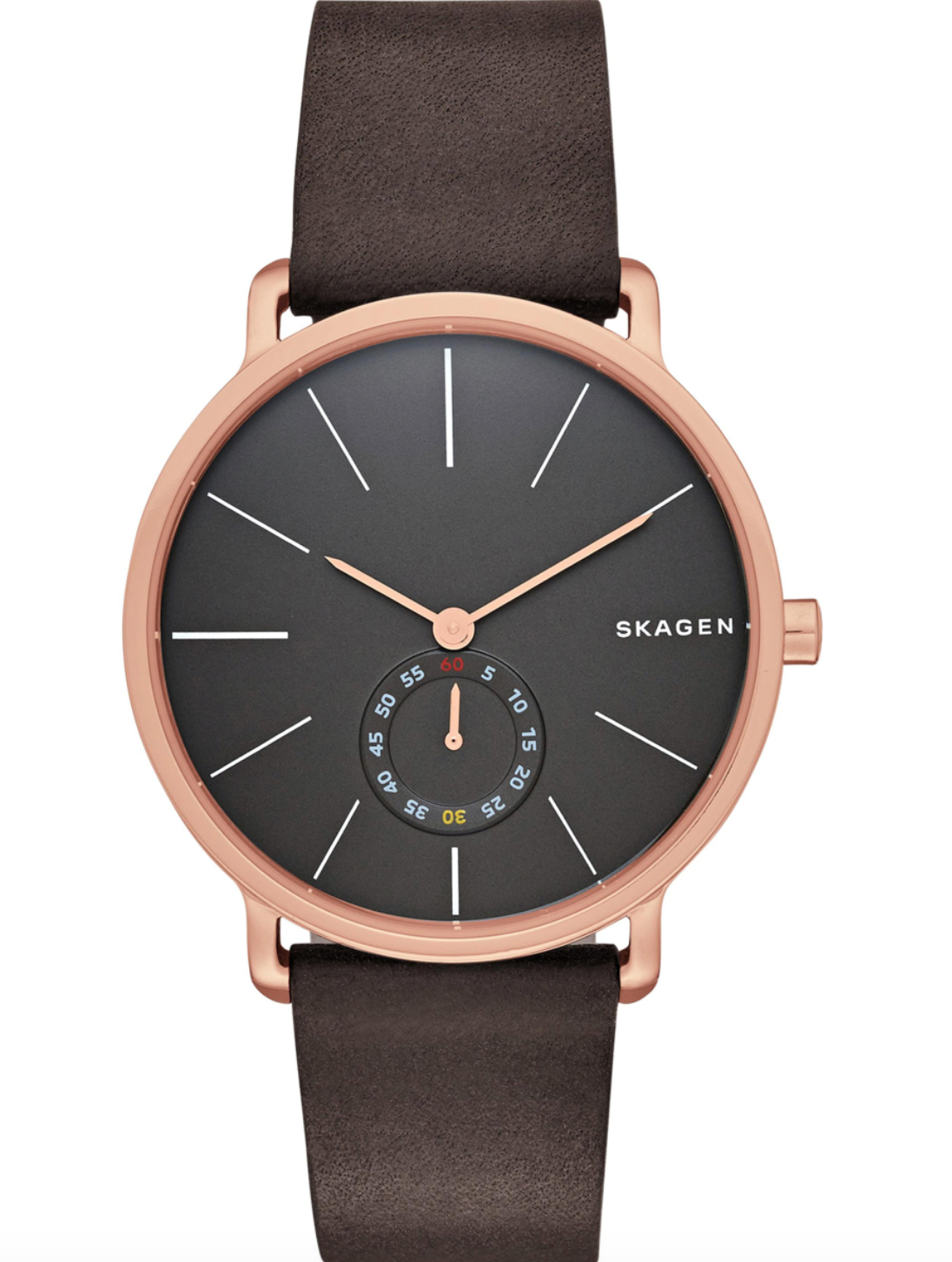 Мужские наручные часы Skagen SKW6213_1