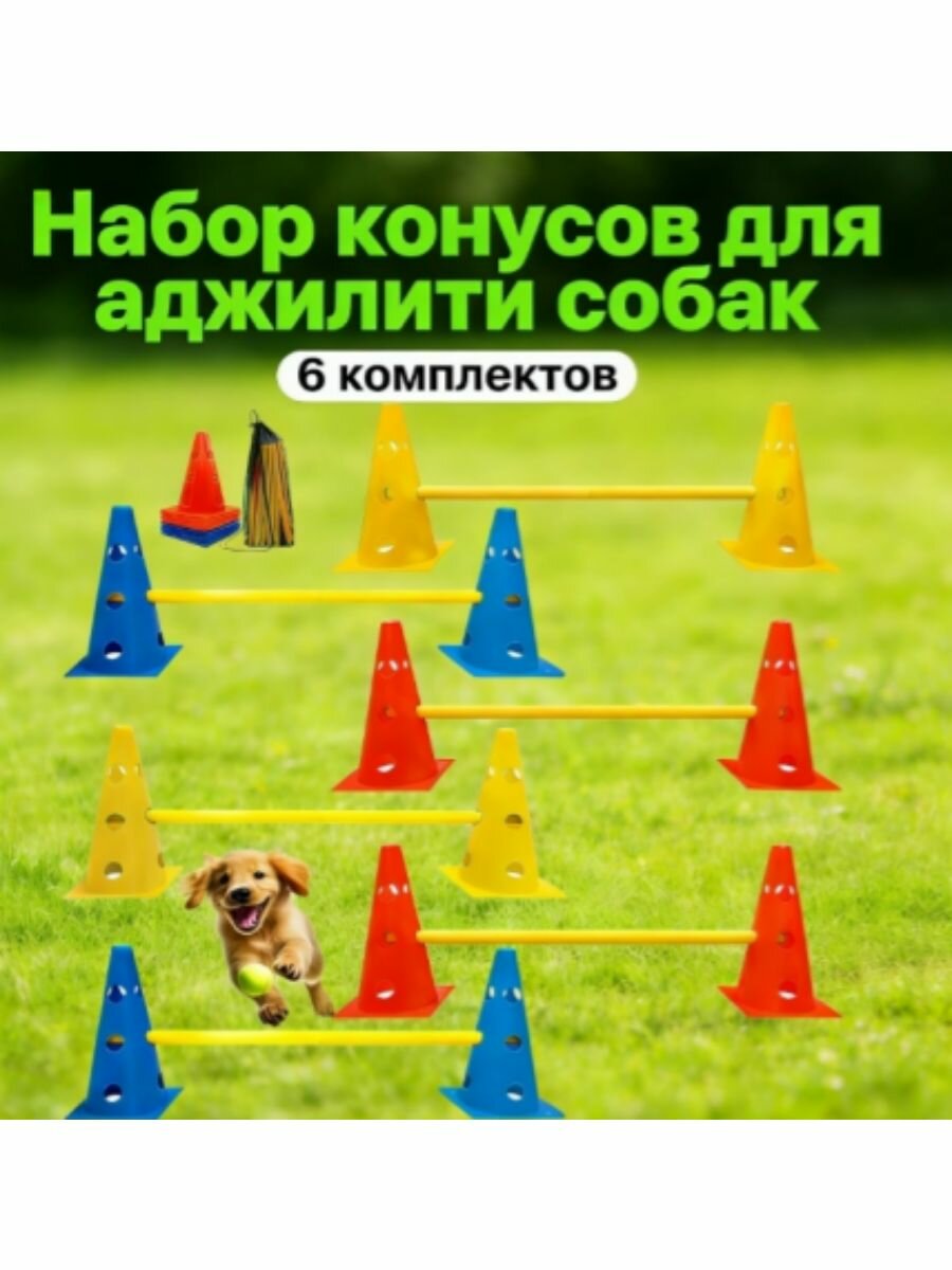 Дрессировка питомцев/Оборудование для тренировки собак/преодоления препятствий на собачьих