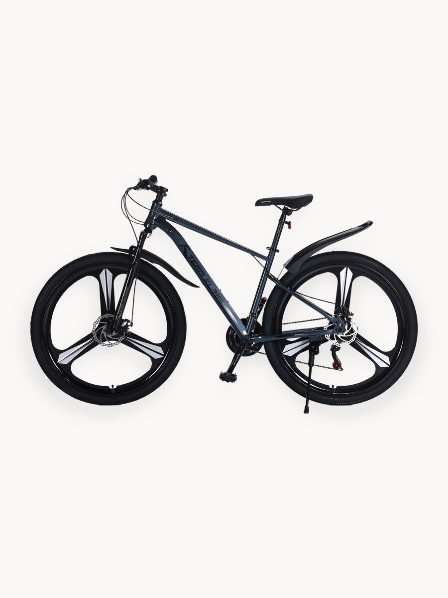 Велосипед Team Klasse FB-3, городской, 21 скоростей, диаметр колес 29", рама 17", темно-фиолетовый