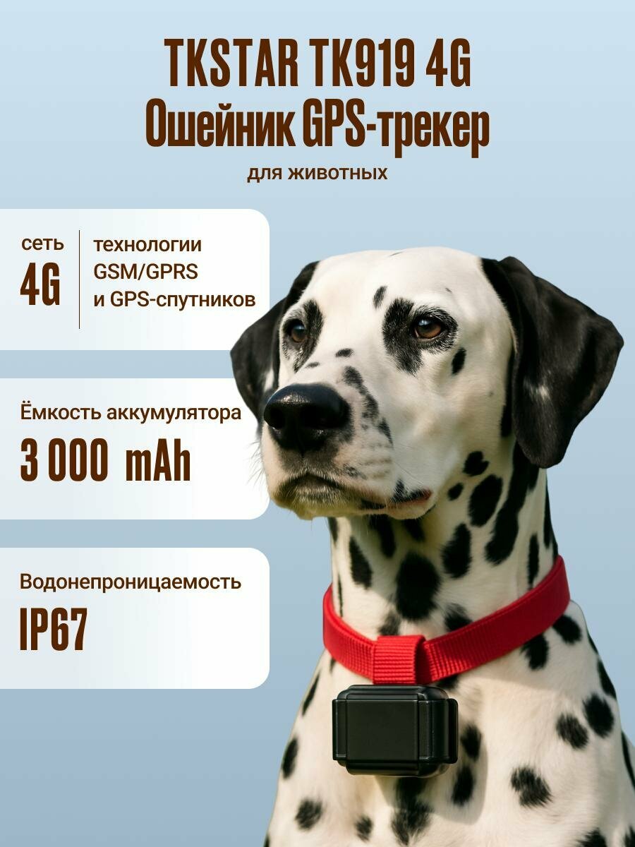 GPS трекер ошейник для животных TKSTAR TK919 4G