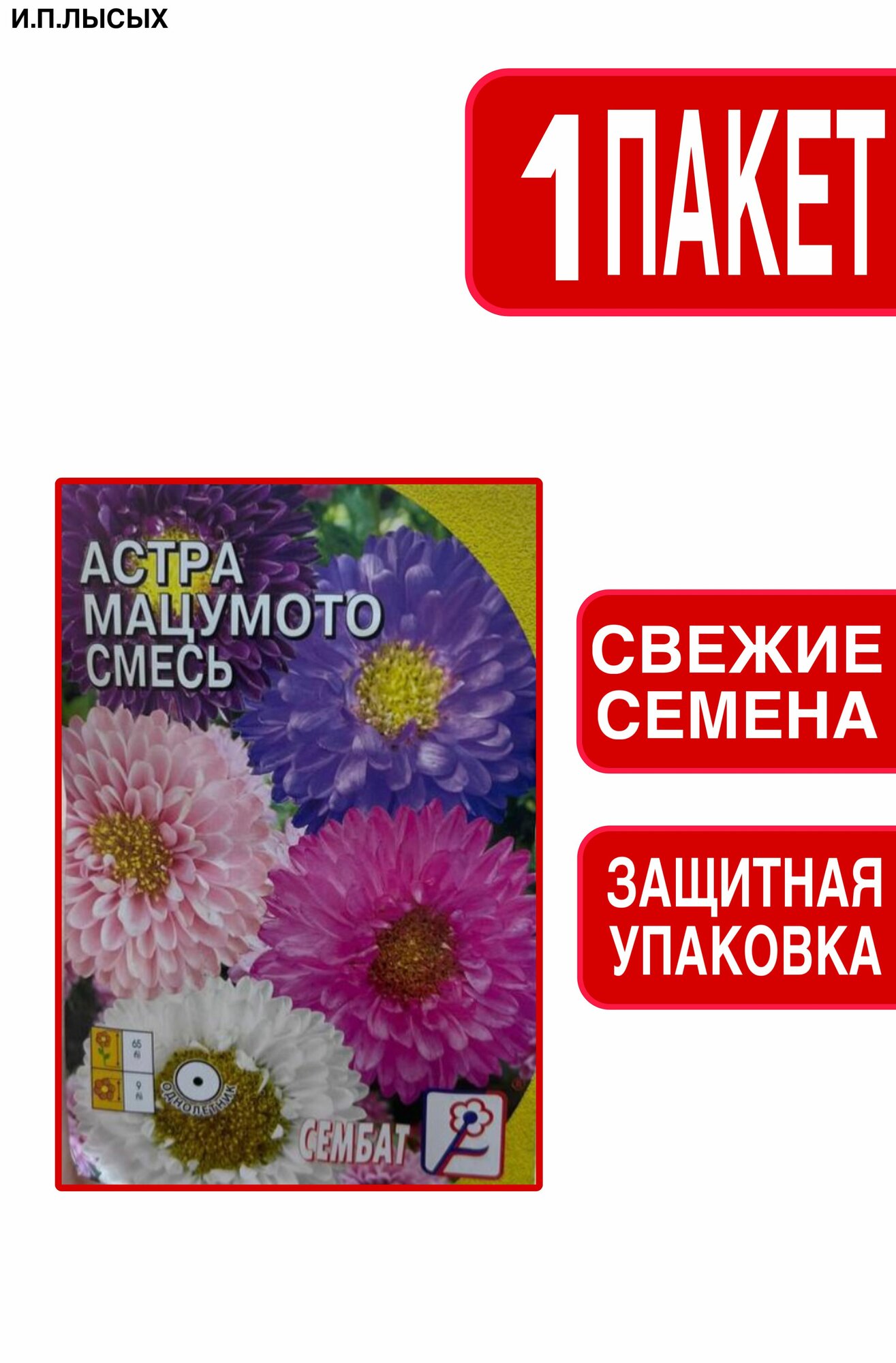 Семена Астра "Мацумото"