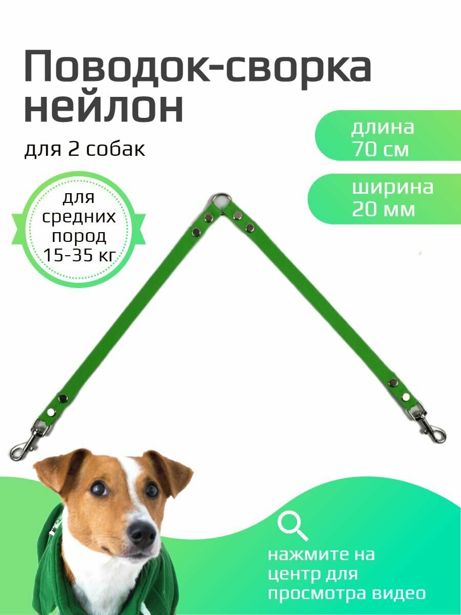 Сворка Хвостатыч для двух собак нейлон 70 см х 20 мм (салатовый)