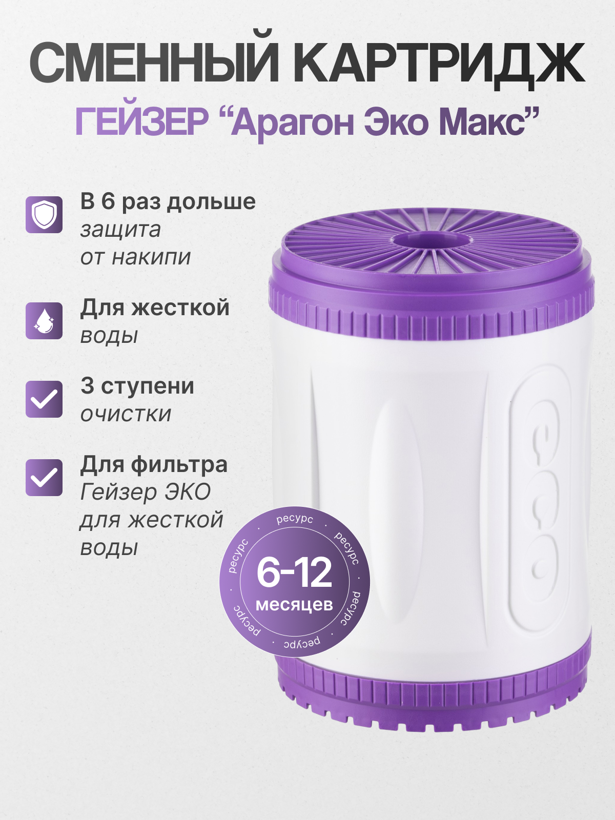 Гейзер Эко макс