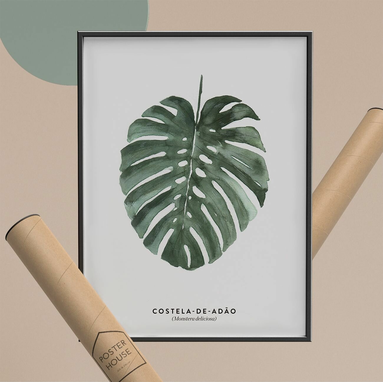 Постер Монстера, минимализм 30х40 см без рамы/ Растение/ Плакат для интерьера, в подарок
