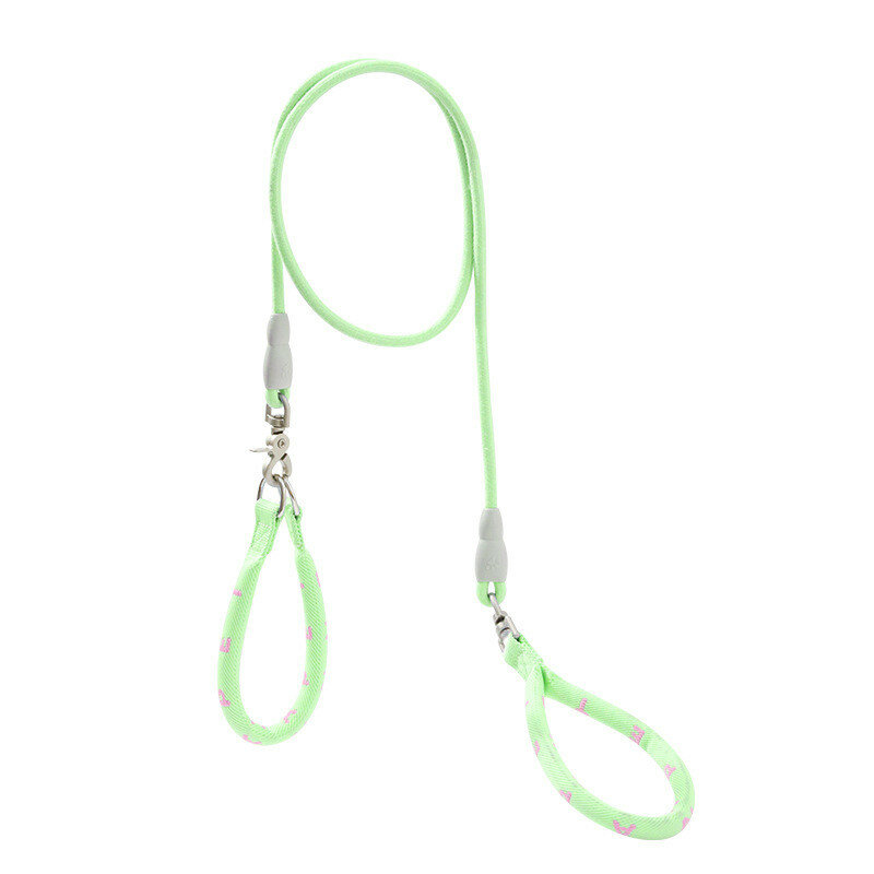 Pet nylon leash and collar for small dogs with adjustable and extendable design for walking and training, green