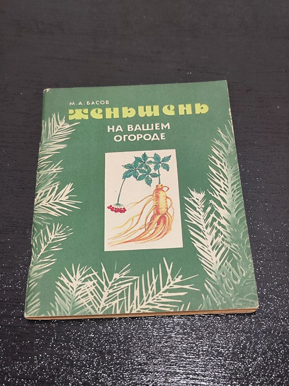 Женьшень на вашем огороде