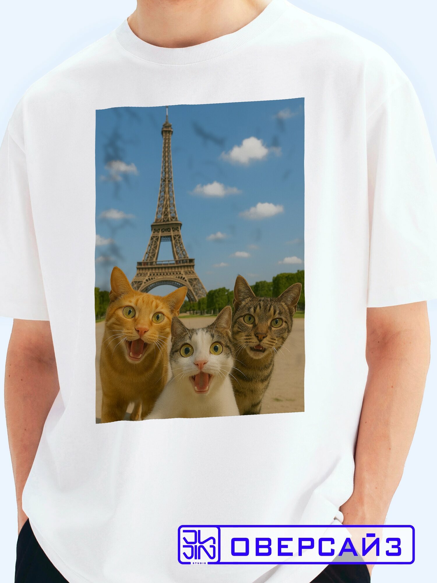 Футболка оверсайз мужская с принтом Смешные разноцветные кошки с мемами на фоне голубой эйфелевой башни и города, белый хлопковый трикотаж с прикольным рисунком на груди