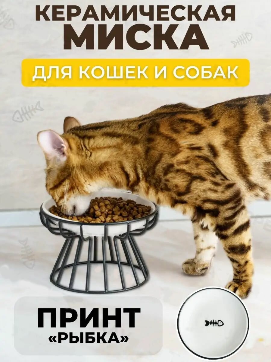 Керамическая миска для кошек с рисунком кошачьей лапы, снабженная круглым держателем на высокой ножке