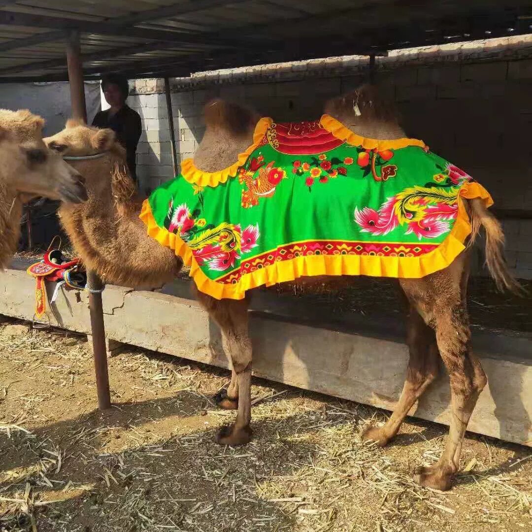 Старинная конная упряжь для реквизита, деревянная упряжь для лошадей ручной работы, большая упряжь для лошадей для