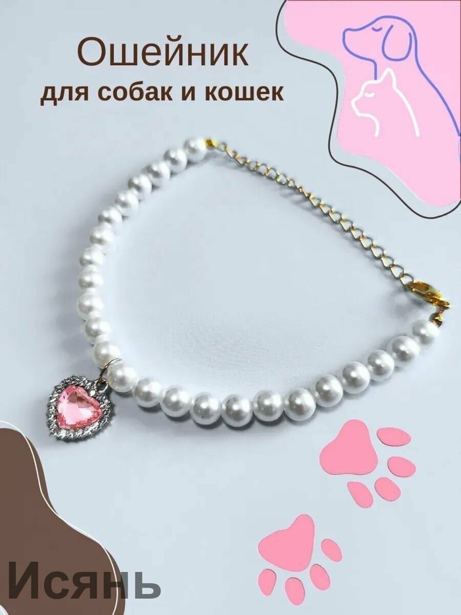 Ошейник для кошек и собак