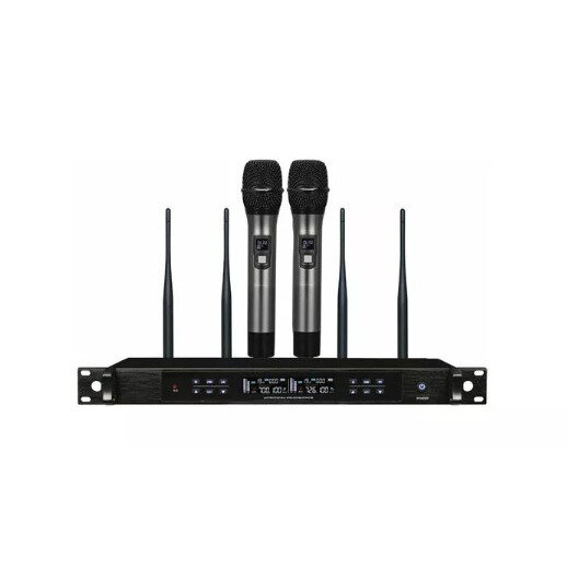 Радиосистема на два микрофона Axelvox DWS7000HT TD Bundle