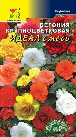 Семена Бегония Крупноцветковая Идеал смесь