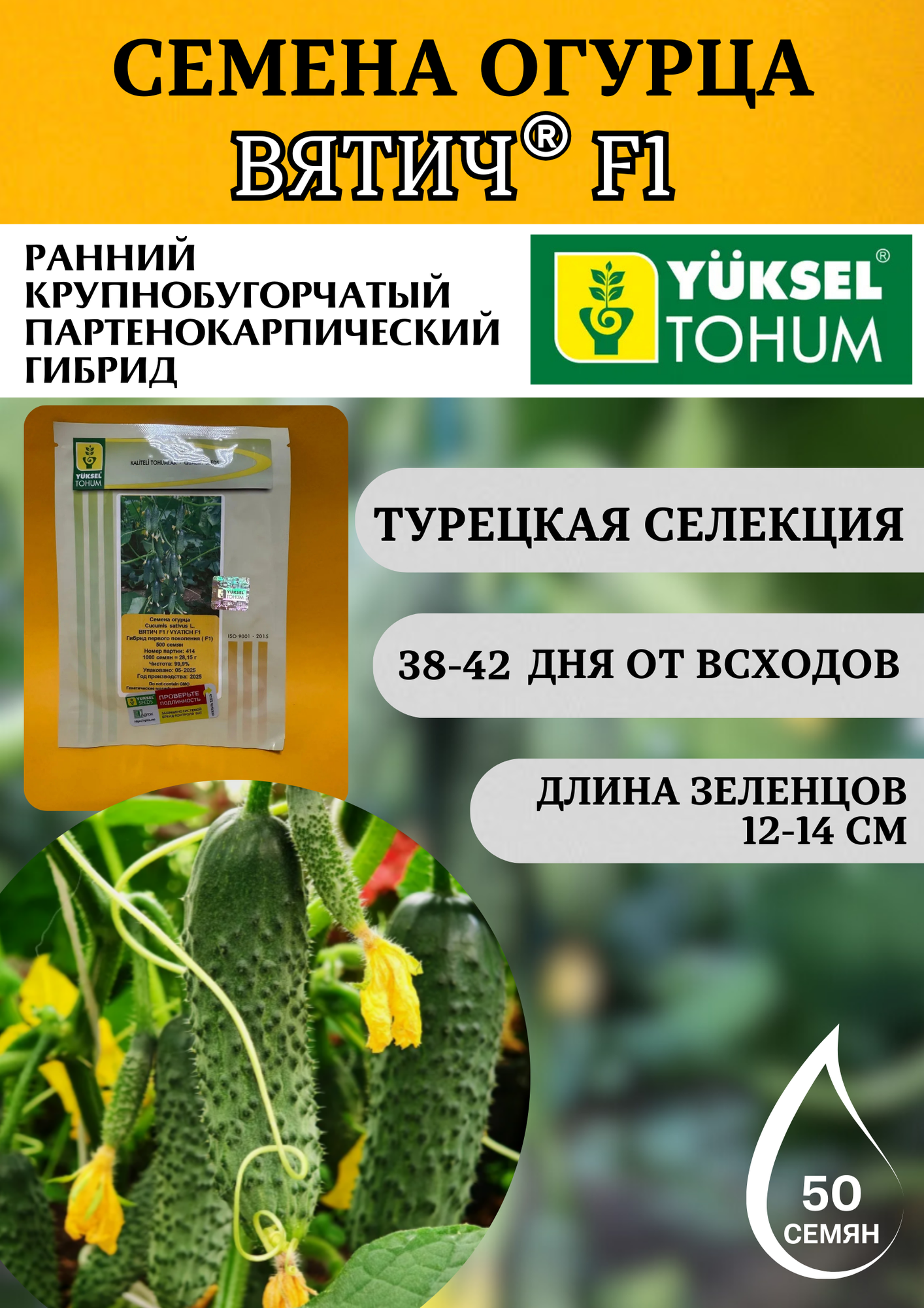 Семена огурца Yuksel Tohum Вятич F1 50 штук, раннеспелые партенокарпические