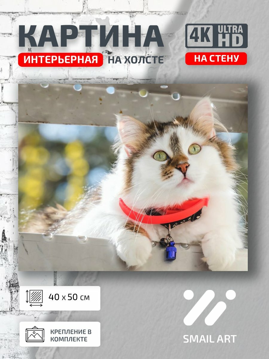 Картина на холсте интерьерная 40 на 50 на стену Белый Animal для кабинета animal style