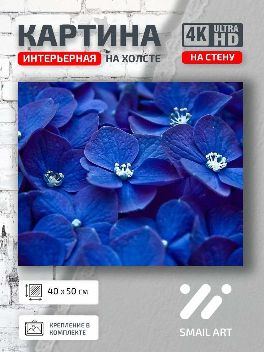 Картина на холсте интерьерная 40 на 50 на стену Фиалки Mood для гостиной атмосфера интерьер