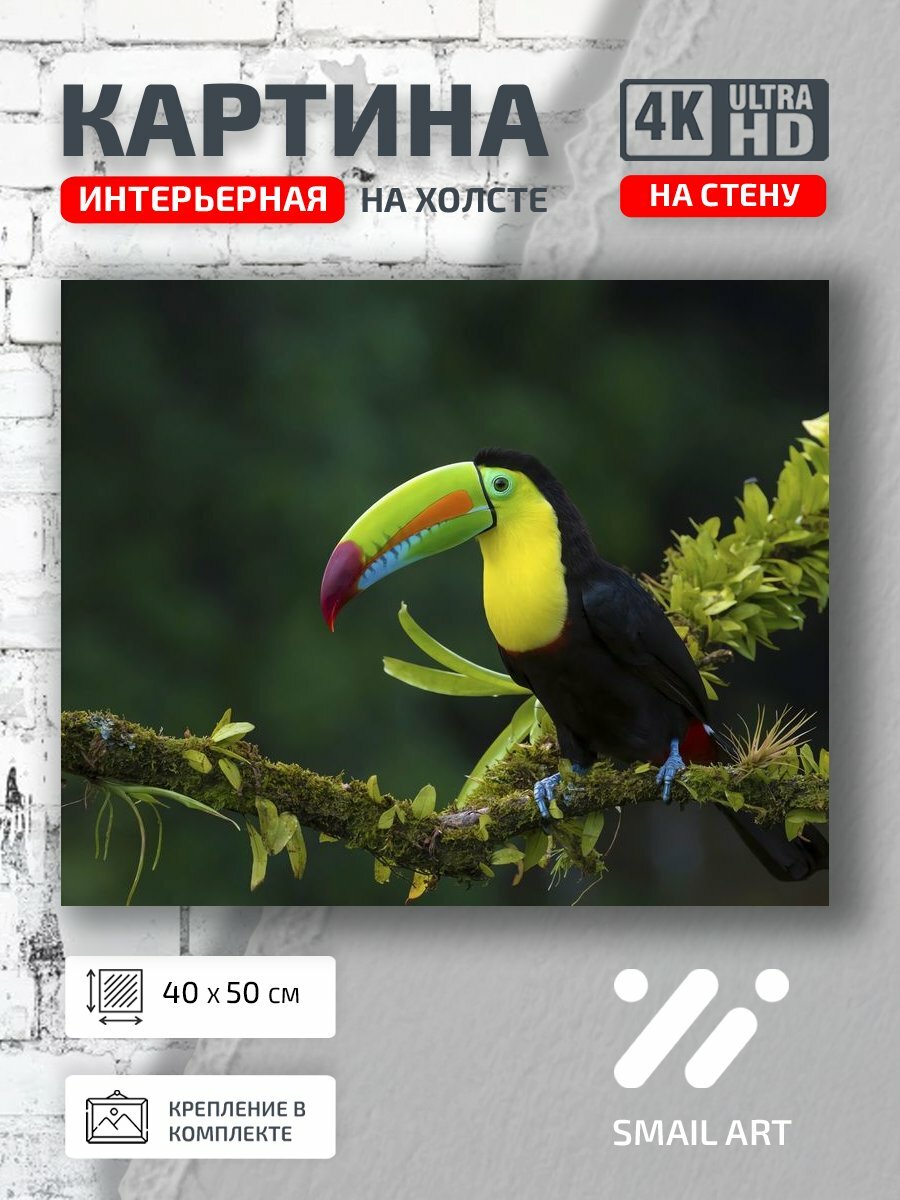 Картина на холсте интерьерная 40 на 50 на стену Ветка Animal для кафе animal style интерьер