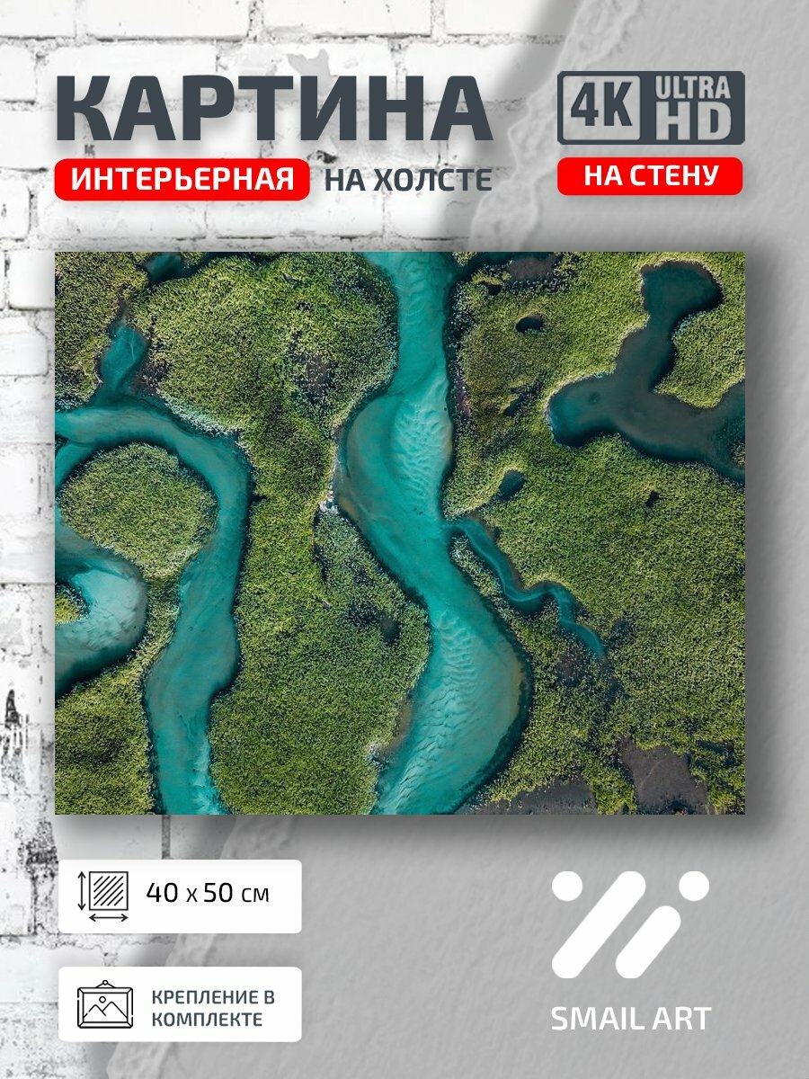 Картина на холсте интерьерная 40 на 50 на стену Болото Landscape для кафе пейзаж интерьер