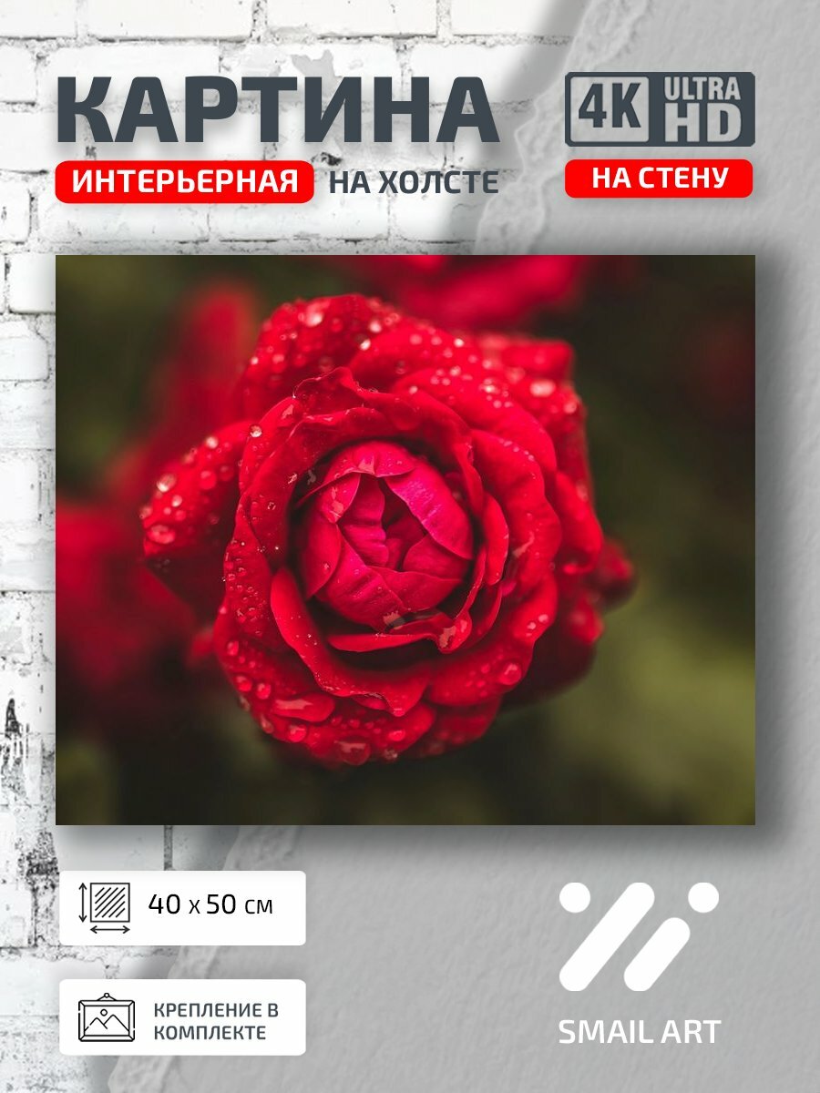 Картина на холсте интерьерная 40 на 50 на стену Капли Macro для офиса макро интерьер декор