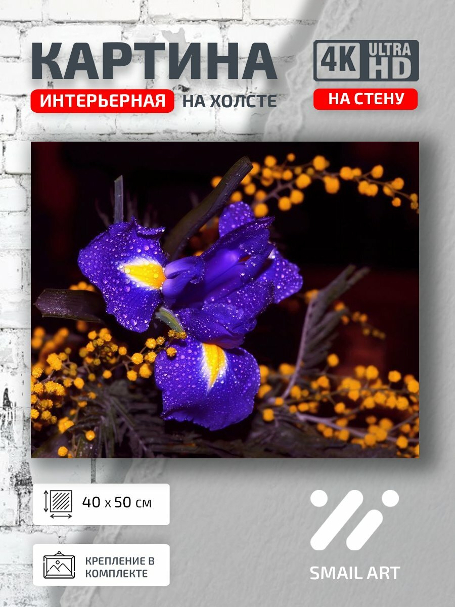 Картина на холсте интерьерная 40 на 50 на стену Фиолетовый Mood для гостиной атмосфера