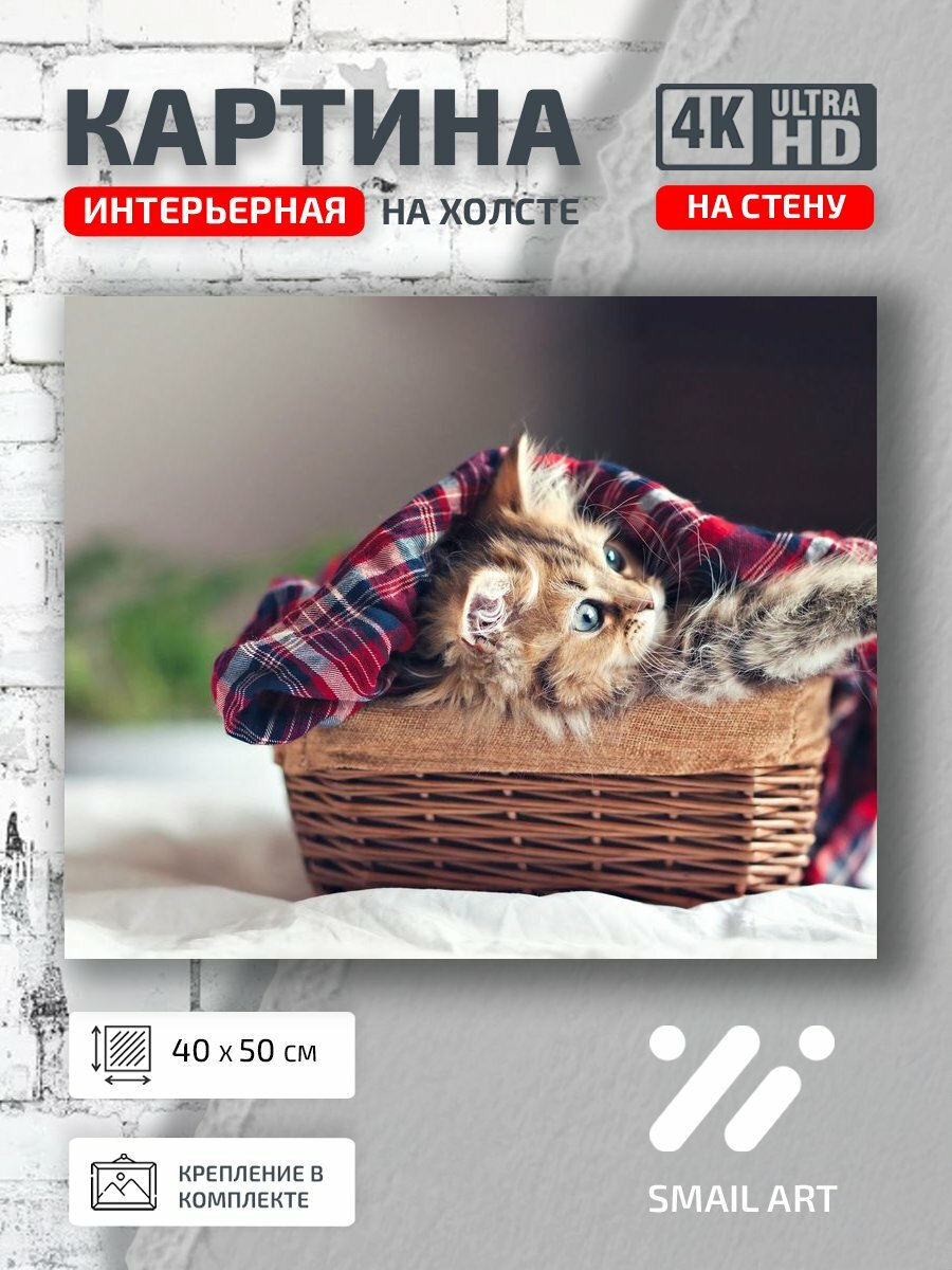 Картина на холсте интерьерная 40 на 50 на стену Пушистый Animal для кафе animal style декор