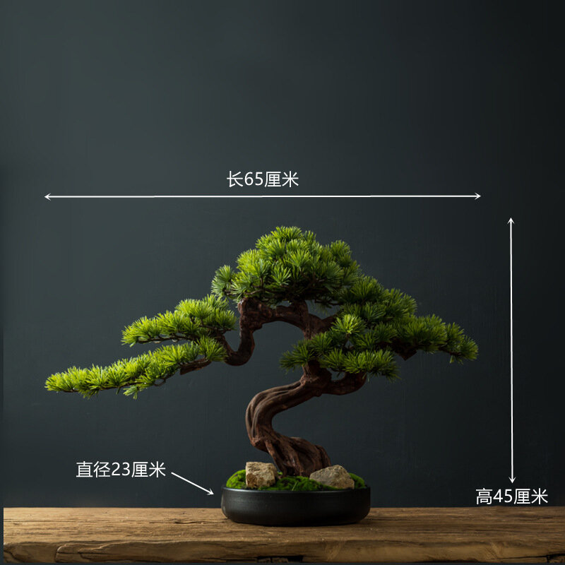 Растение "Бонсай", массив дерева, черная сосна, зеленые листья, для украшения интерьера