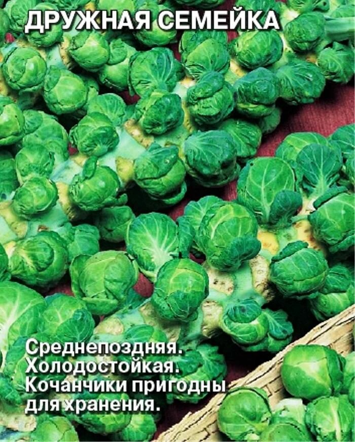Коллекционные семена капусты брюссельская Дружная семейка