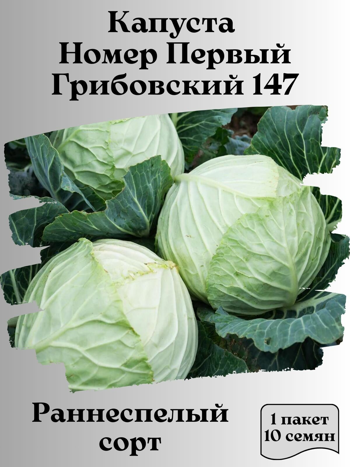 Капуста Номер Первый Грибовский 147, семена, 10 шт, 15 гр.