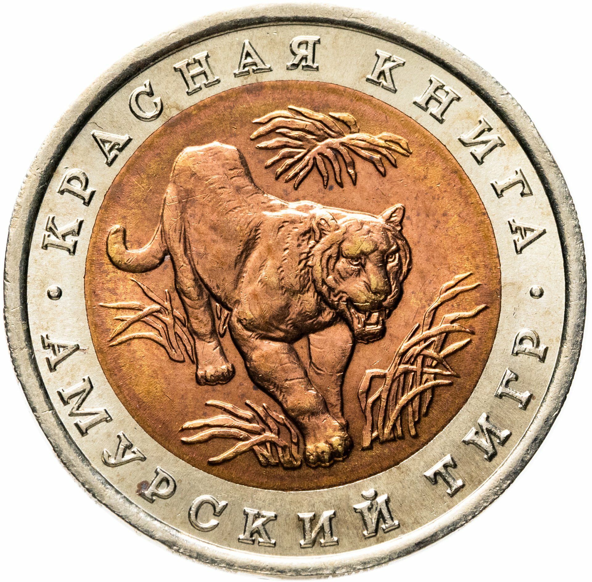 10 рублей 1992 ЛМД амурский тигр, Биметалл, в сохранности AU-UNC