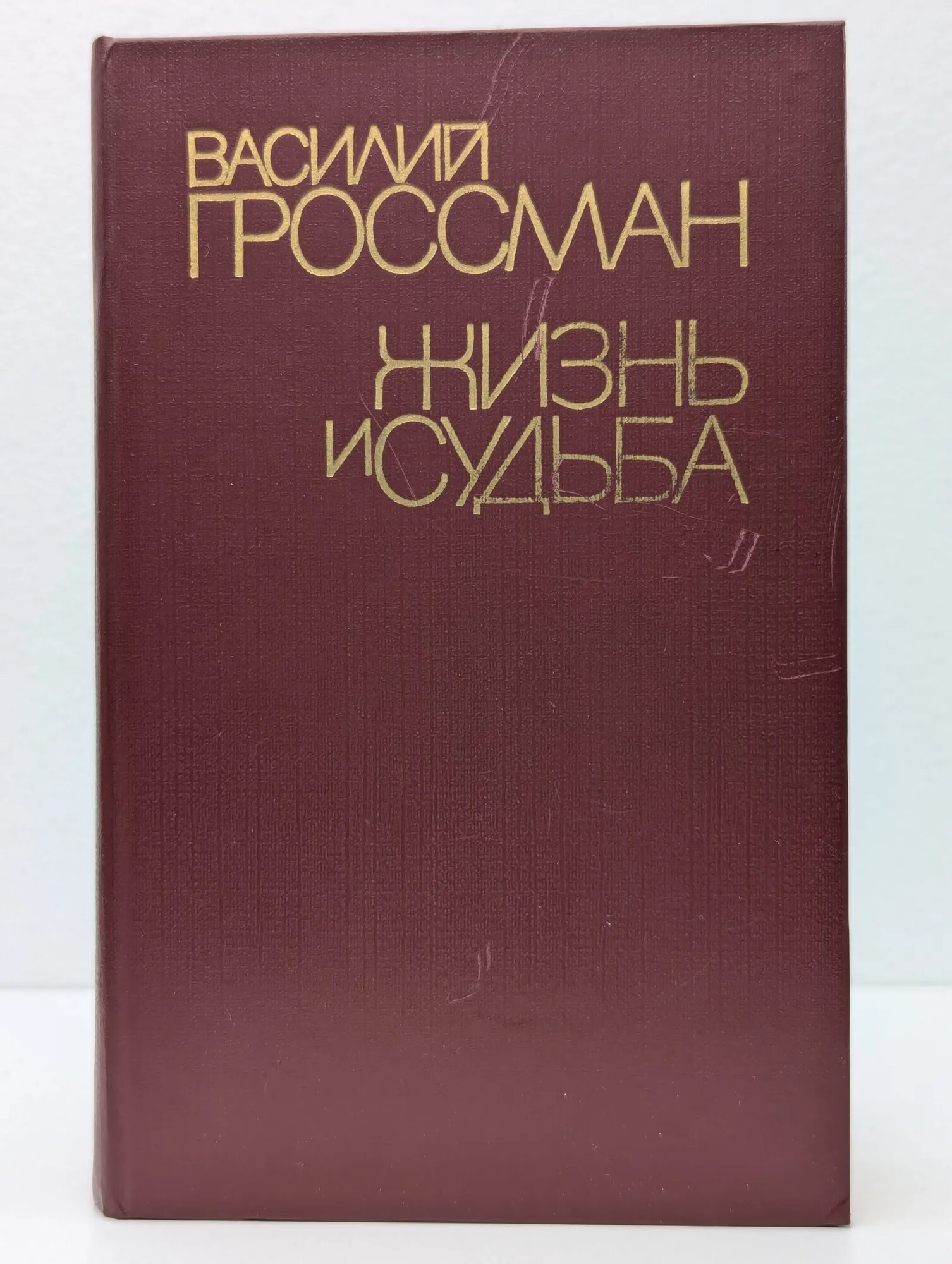 Жизнь и судьба Гроссман Василий Семёнович 1989