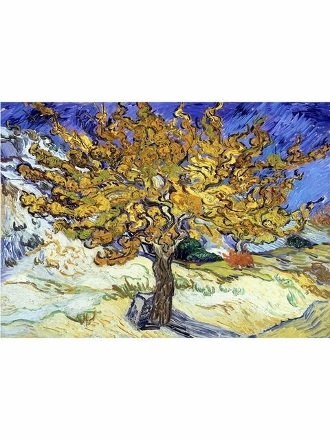 Набор для самостоятельной вышивки алмазами 5D Знаменитые картины Ван Гога- круглая алмазная мозаика размером 40x50 см для украшения стен дома,40X50CM, белый