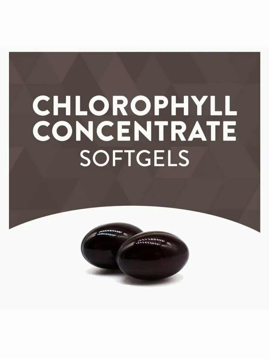 Chlorofresh — фото 1