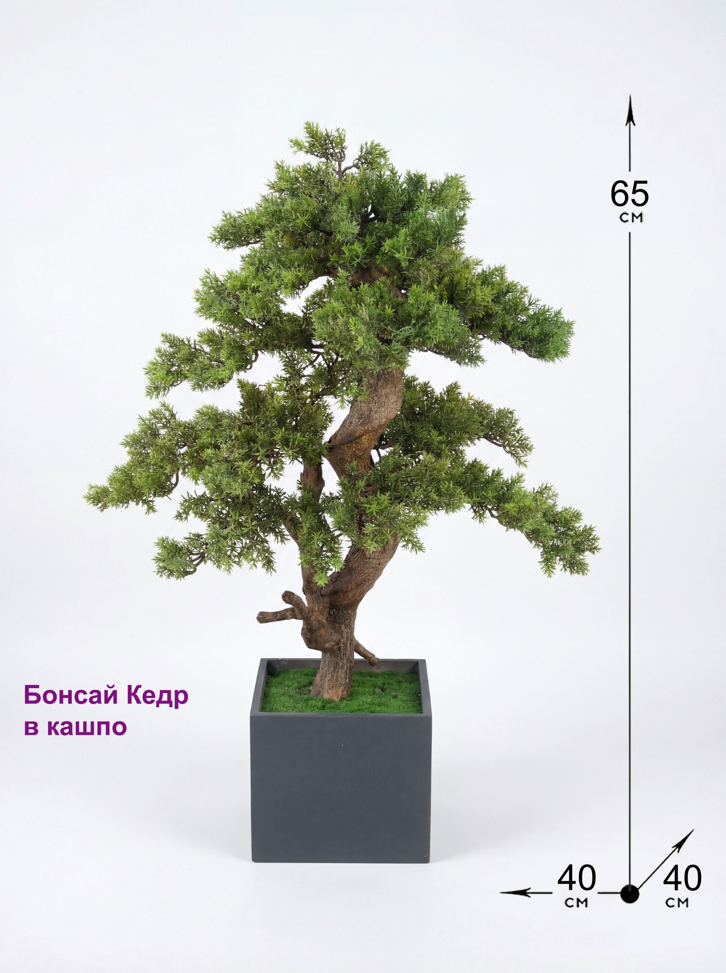 Бонсай искусственный Кедр 65см в стильном кашпо от ФитоПарк, подарок руководителю