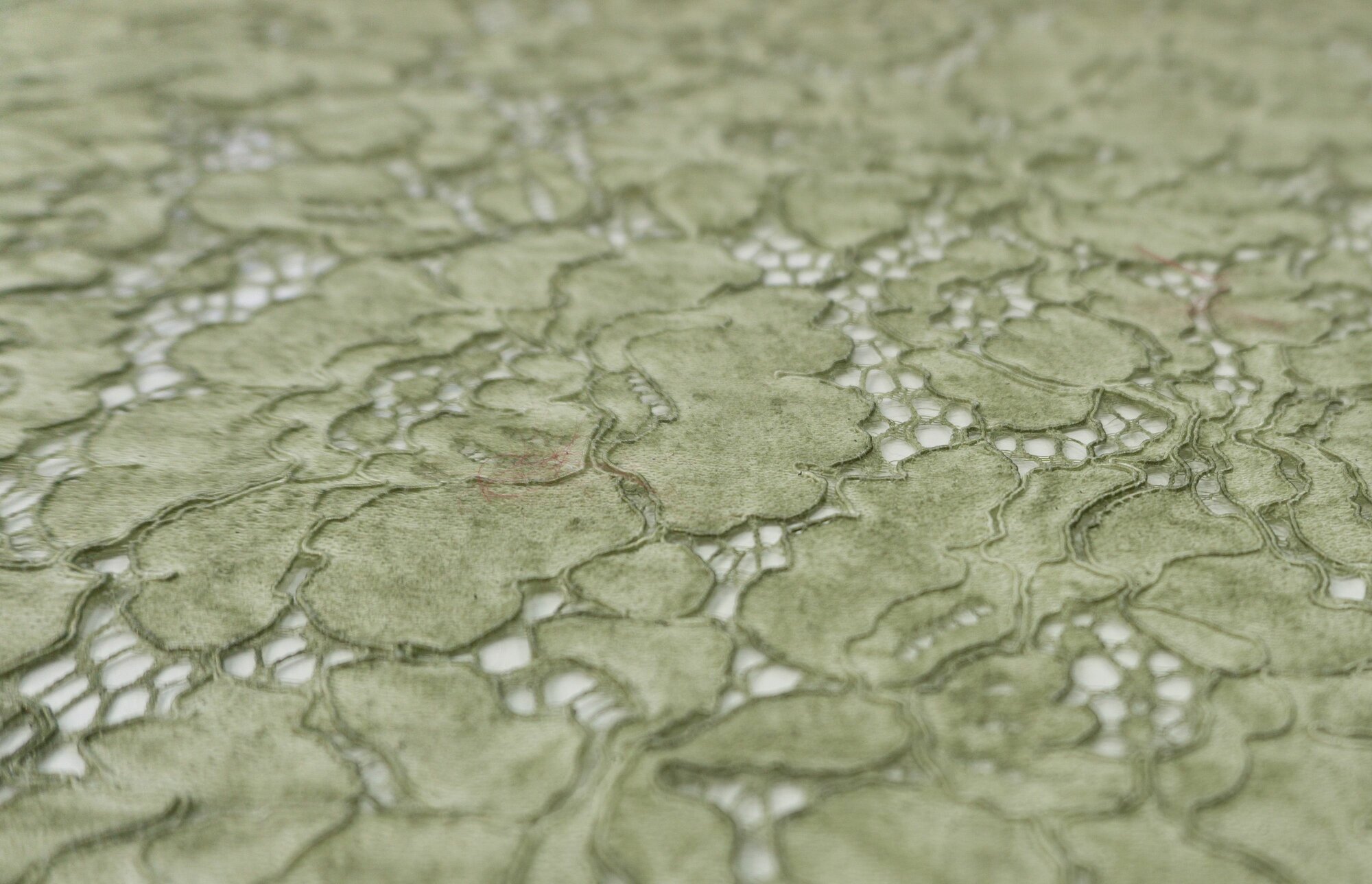 Ткань Кружево с кордовой нитью зеленое 2.55м