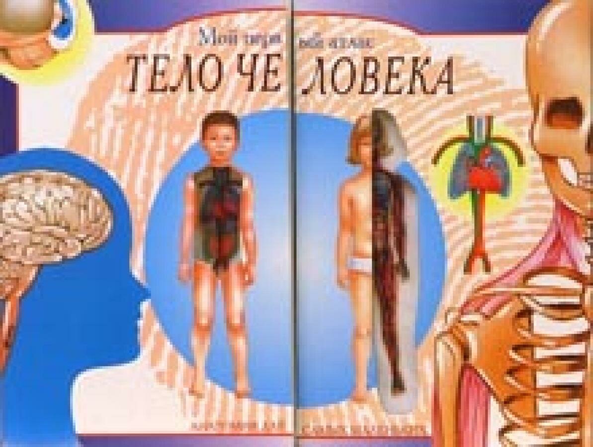 Тело человека. Мой первый атлас. Джон Х. Р. Бру.