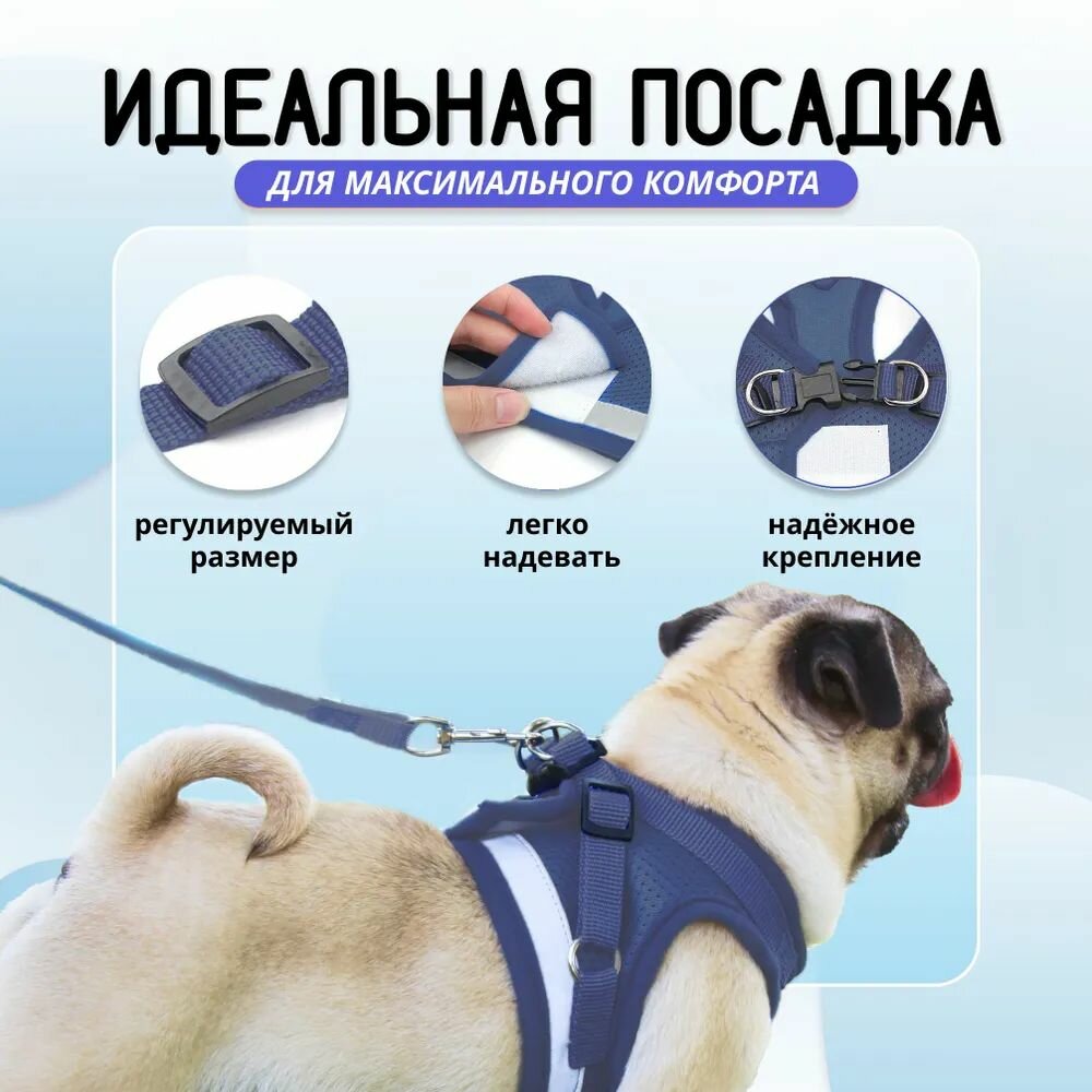 Шлейка дышащая анатомическая со светоотражающими элементами для собак мелких пород и кошек с поводком 1,5м, размер S, обхват груди 34-38см