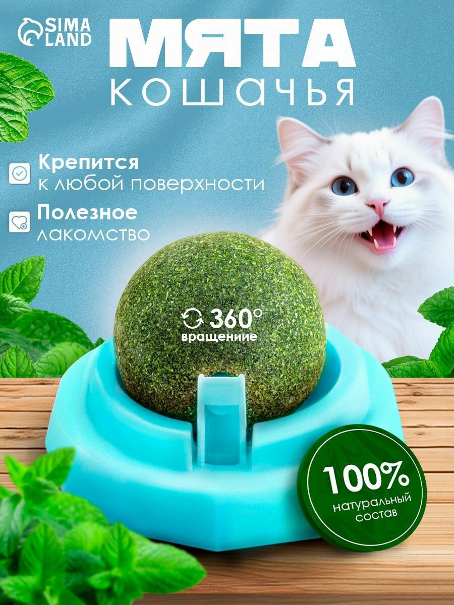 Игрушка для кошек /кошачья мята шарик на стену, голубой