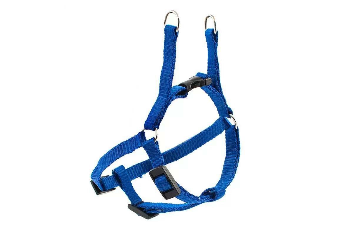 Шлейка Дарэлл Ecco-Sport Quick, синтетическая, ширина 10 мм, объем шеи 28-36 см, объем груди 32-48 см