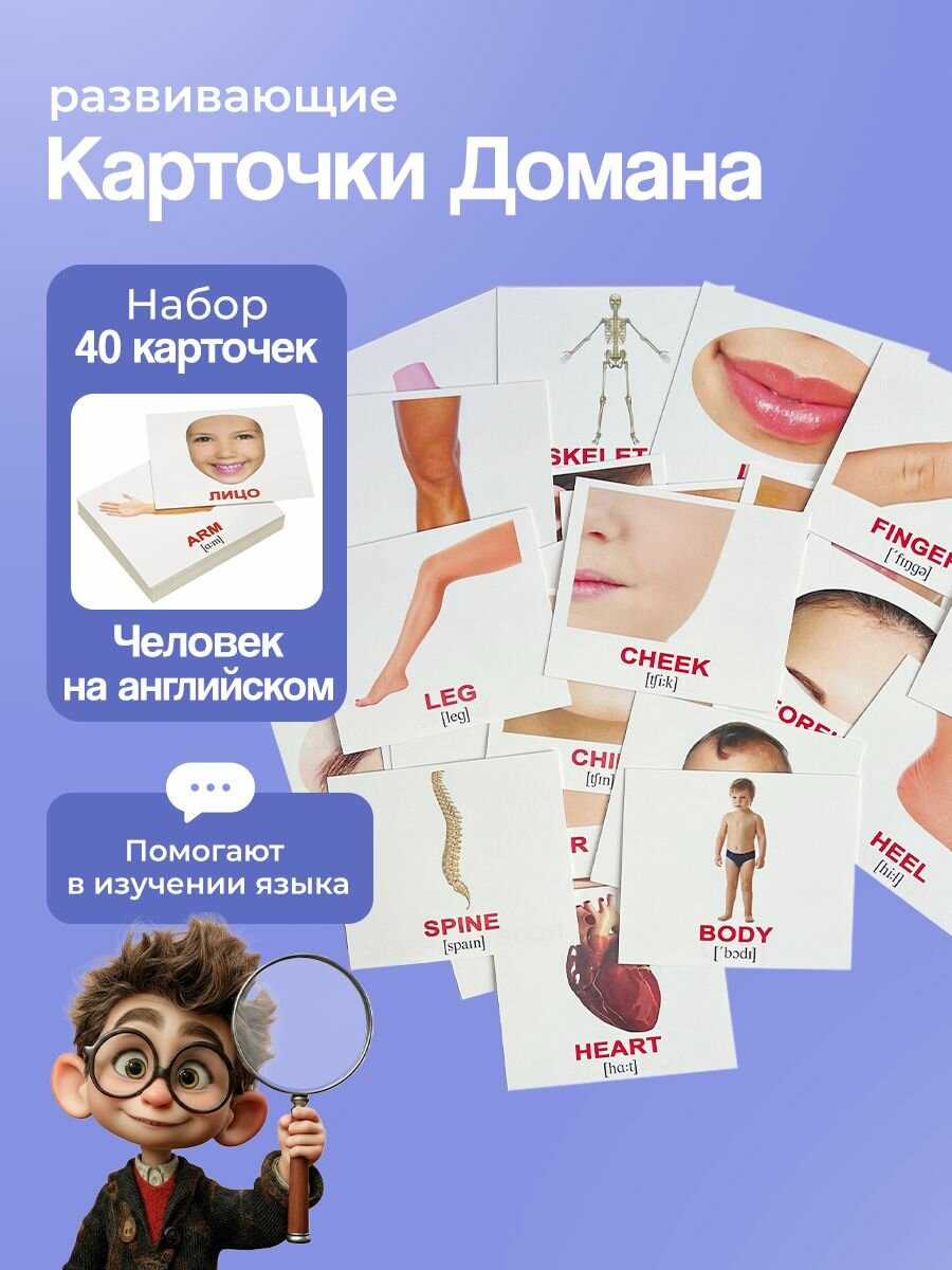 Комплект карточек Human/Человек (мини 8*10см) 40шт. по методике Г. Домана