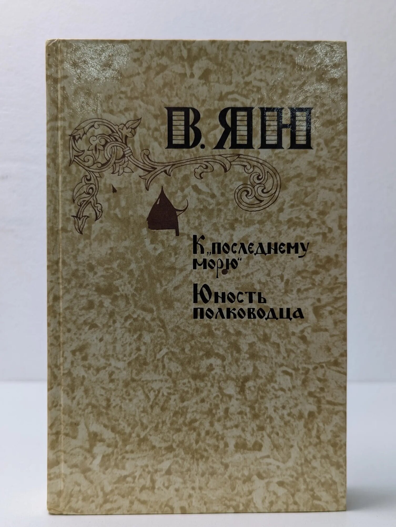 К "последнему морю". Юность полководца Ян Василий Григорьевич 1981