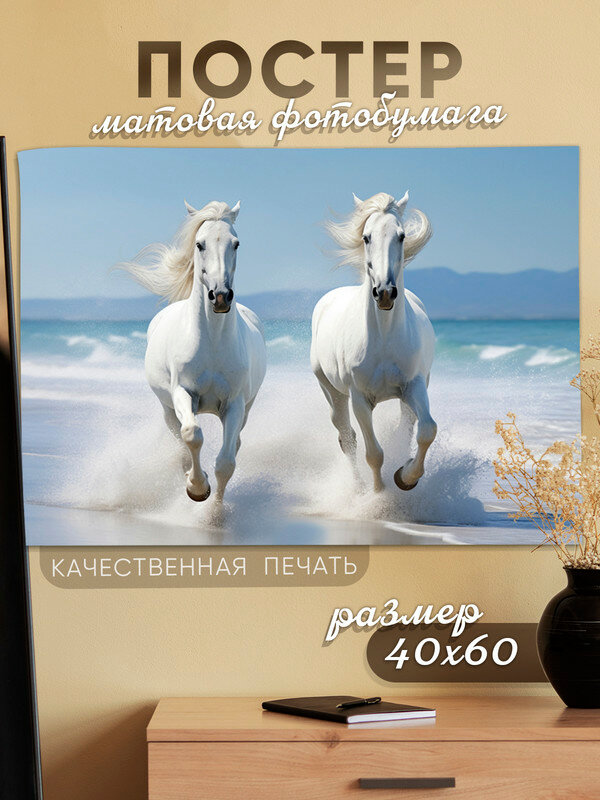 Постер Красивая белая лошадь (30) 40х60