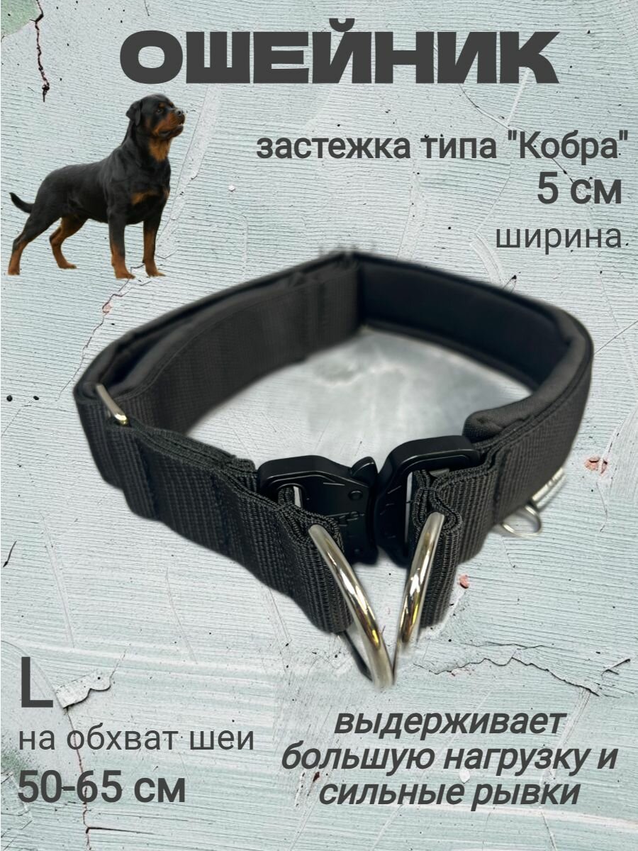 Ошейник для собак на застежке типа Кобра ширина 5 см, с мягким подкладом для средних и крупных пород, размер L