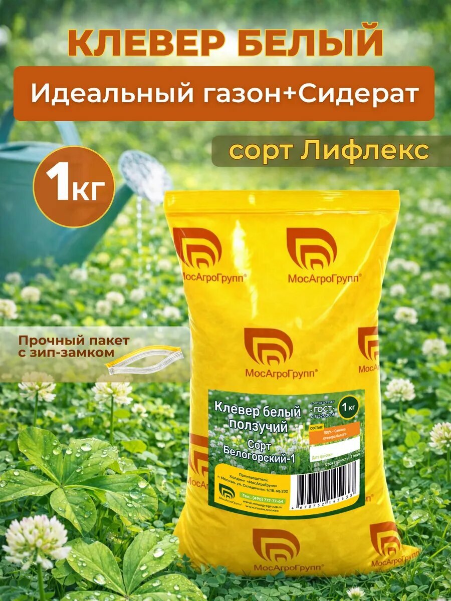 Семена белого клевера 1кг сорт Лифлекс Мосагрогрупп для газона