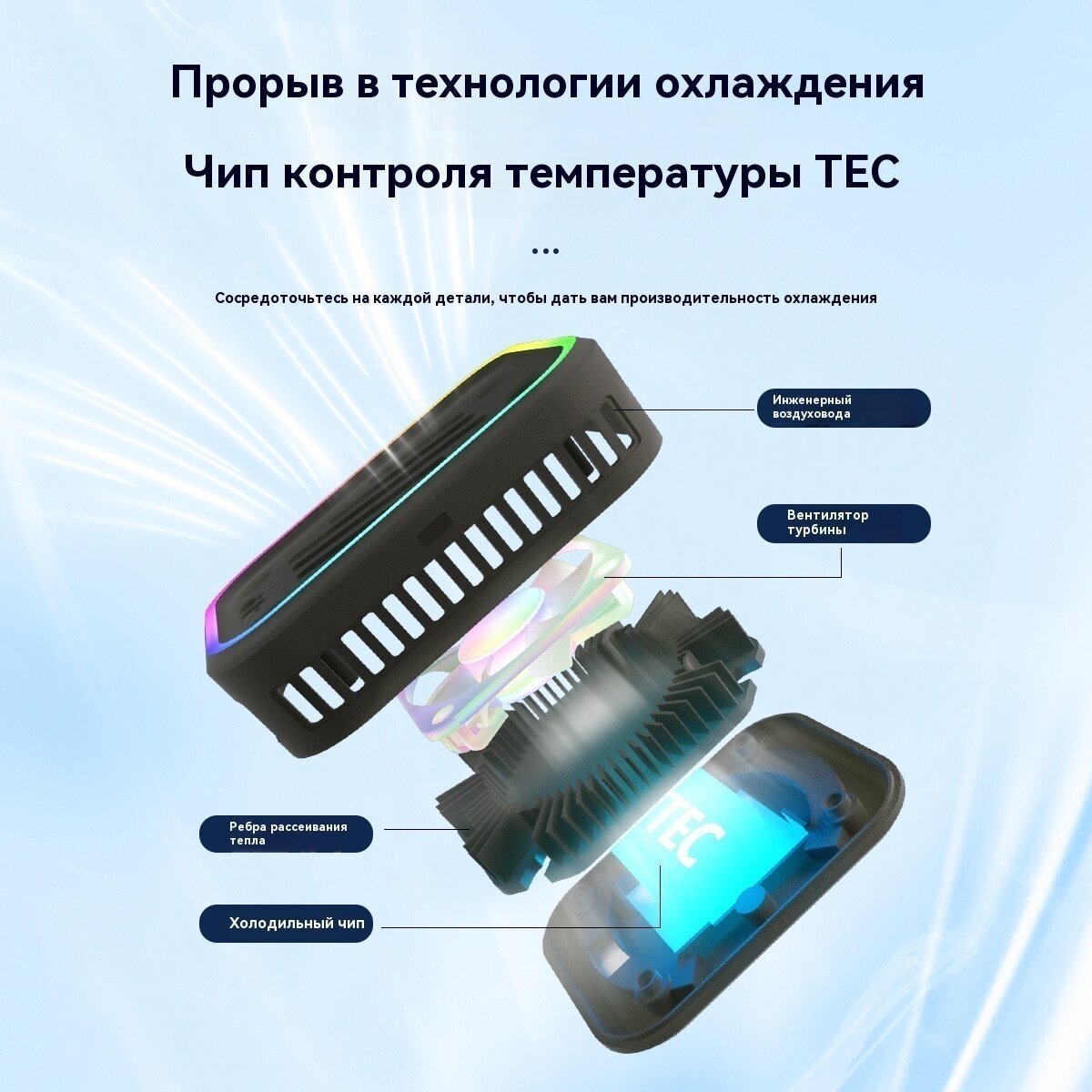 Радиатор Белый — фото 1