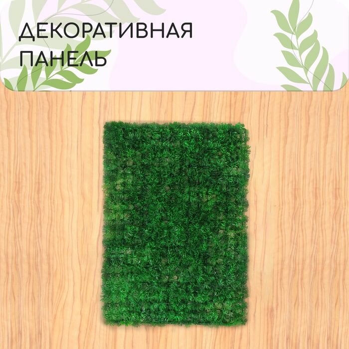 Декоративная панель, 60 40 см, Аспарагус , Greengo