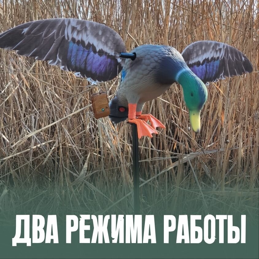 Приманка для охоты