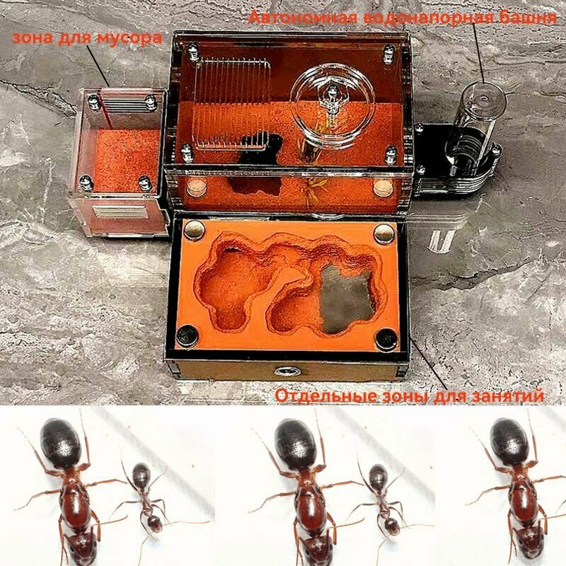 Муравьиная ферма, для муравьев, с гнездом, водонапорной башней, сборный, набор декора