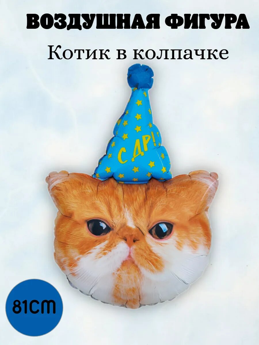 Фигура, Котик в колпачке