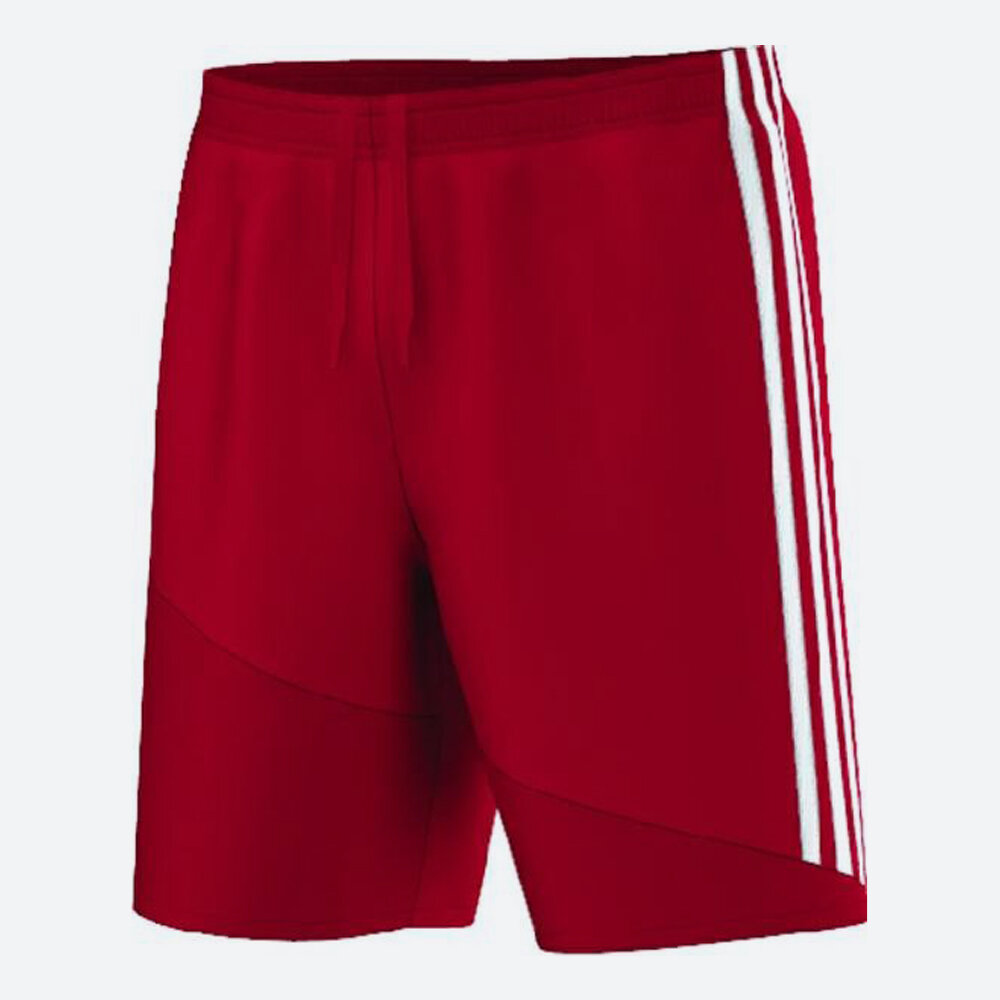 Шорты спортивные Regista 16